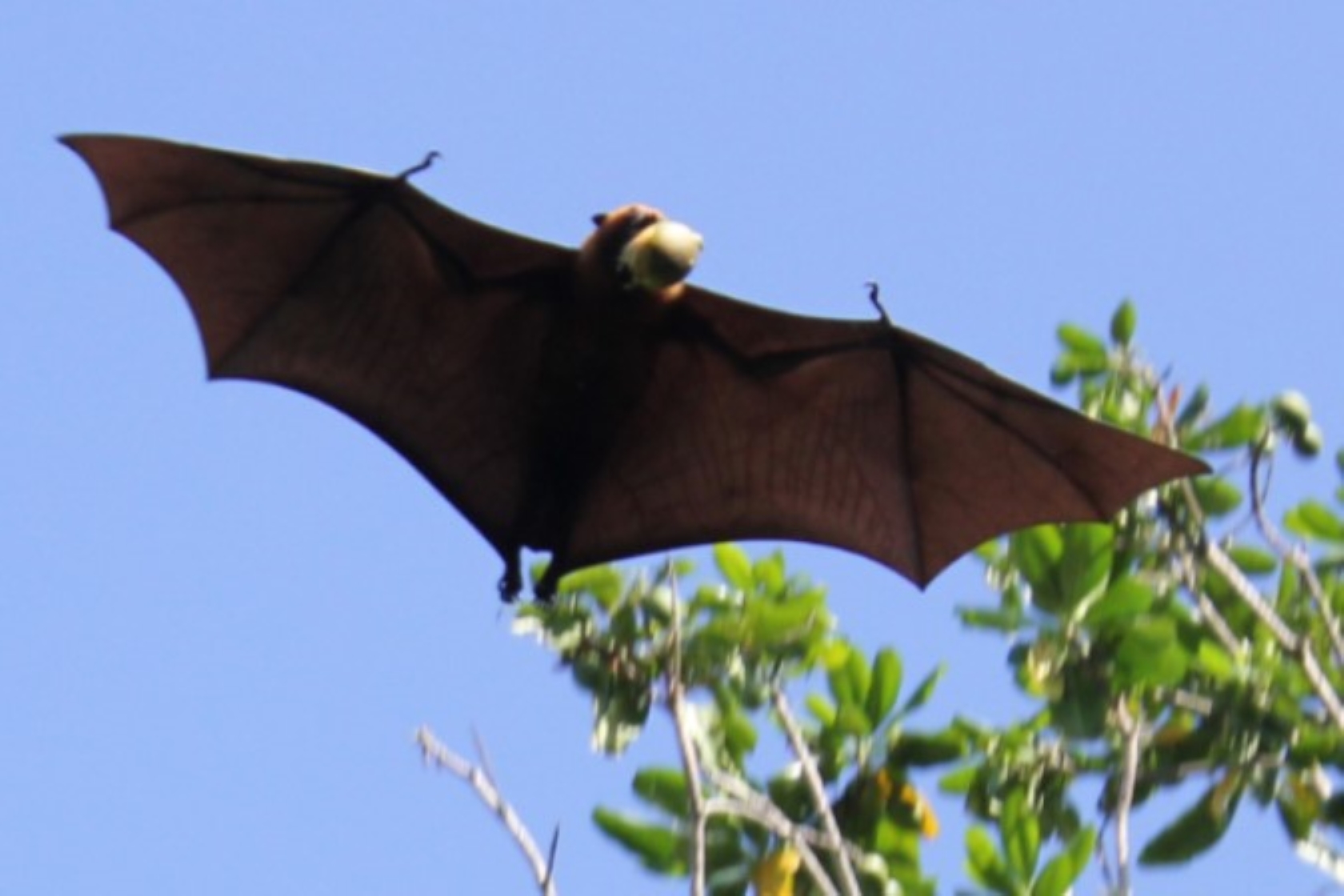 | Department of Evolutionary Biology and Environmental Studies | UZH